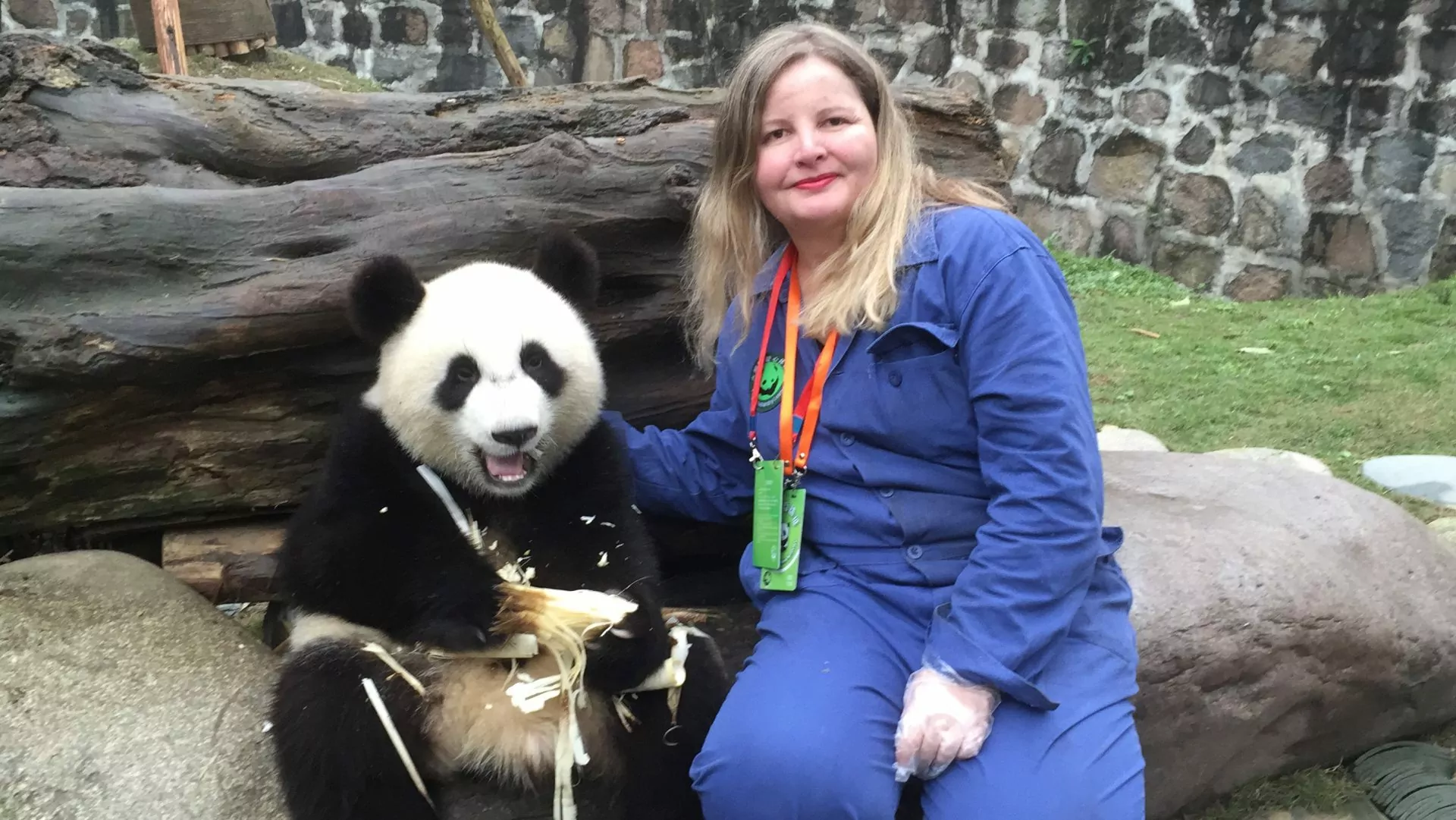 Uma experiência com pandas na China | Blog Terramundi