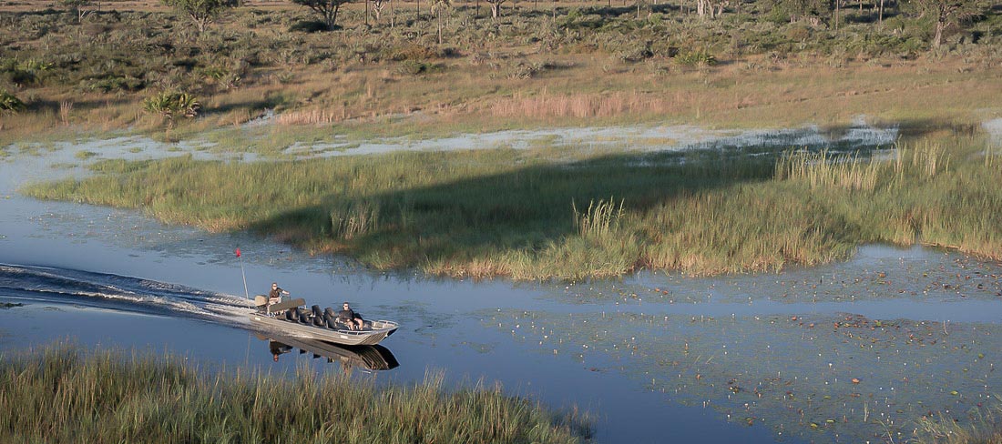 Delta do Okavango e Chobe: para você que ama a vida selvagem