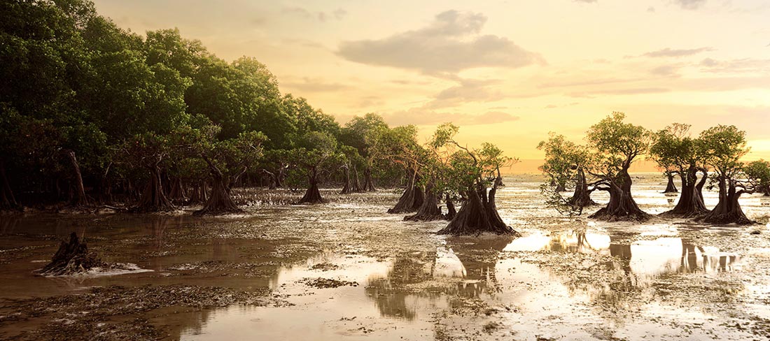 Conheça Sumba muito além das ondas