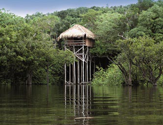 Viaje para o Amazonas e veja os rios com pacotes de viagem exclusivos ...