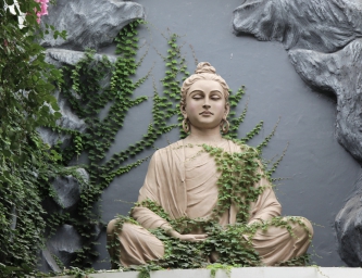 Roteiros de viagem para Índia | Terramundi